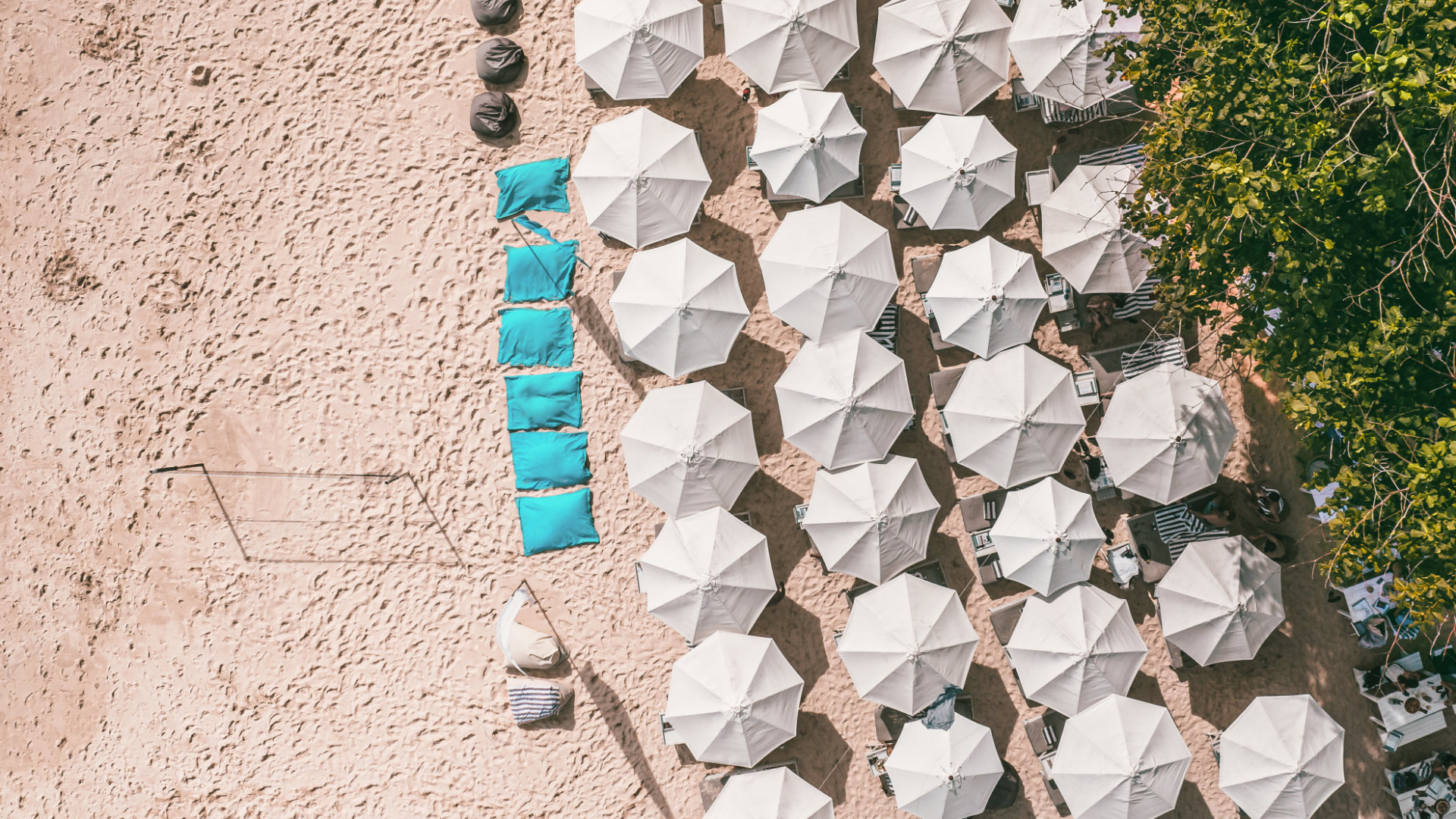 Join the Karma Beach Elite - On Us! - Karma Community